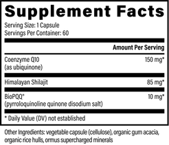 CoQ10 & BioPQQ® Supplement for Heart & Brain Support – Global Healing