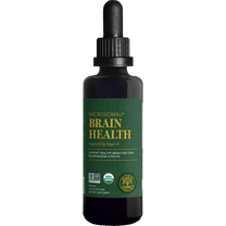 Herbal Brain Supplement For Brain Cell Regeneration | Global Healing