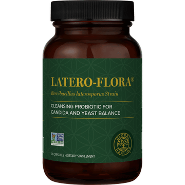 Shop All Global Healing Products - Global Healing