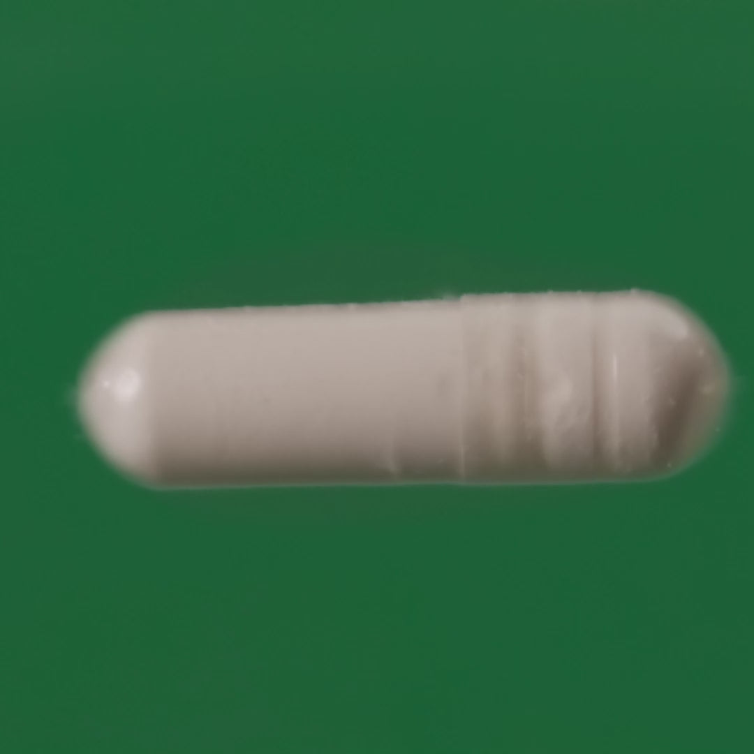 Latero-Flora® Probiotic For Candida & Colon Health - Global Healing